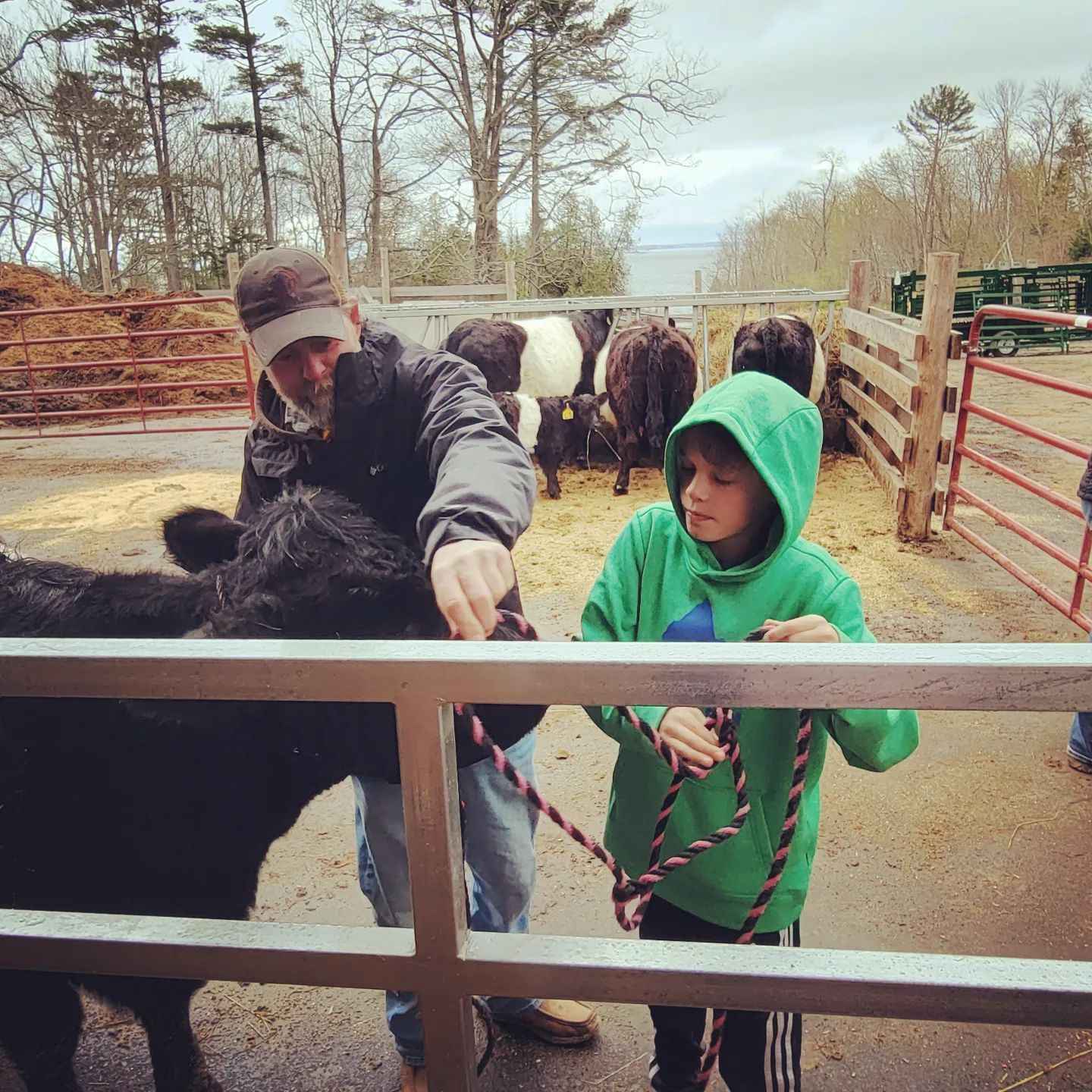 Registration is open for Summer Farm Hands program - Penobscot Bay ...