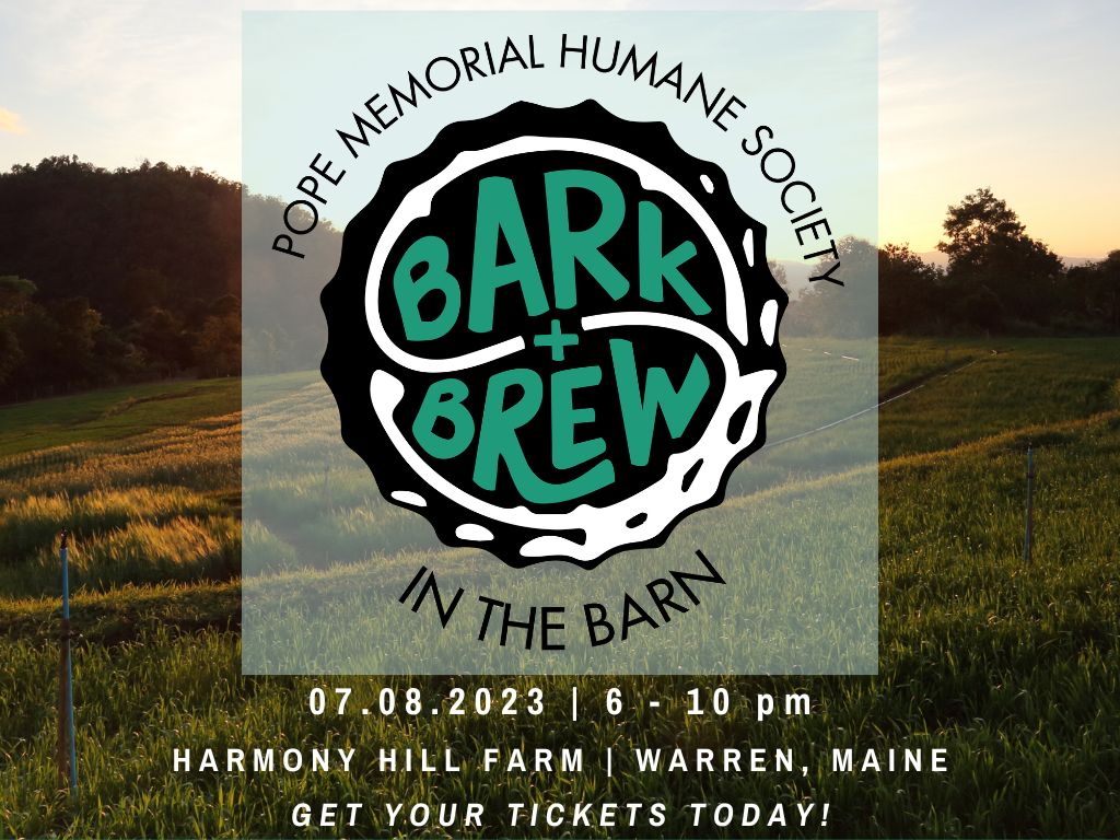 3rd Annual Bark + Brew in the Barn: A Positively Fun Event Benefiting Homeless Pets - Penobscot ...